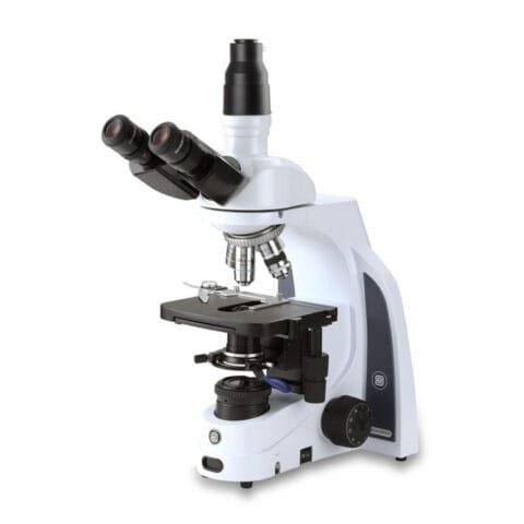 Types of Microscope: Complete Guide & Uses Explained