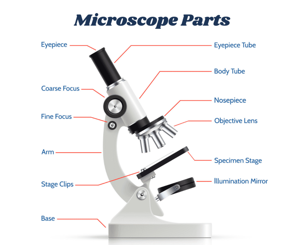 Microscope Parts Explained: Complete Guide